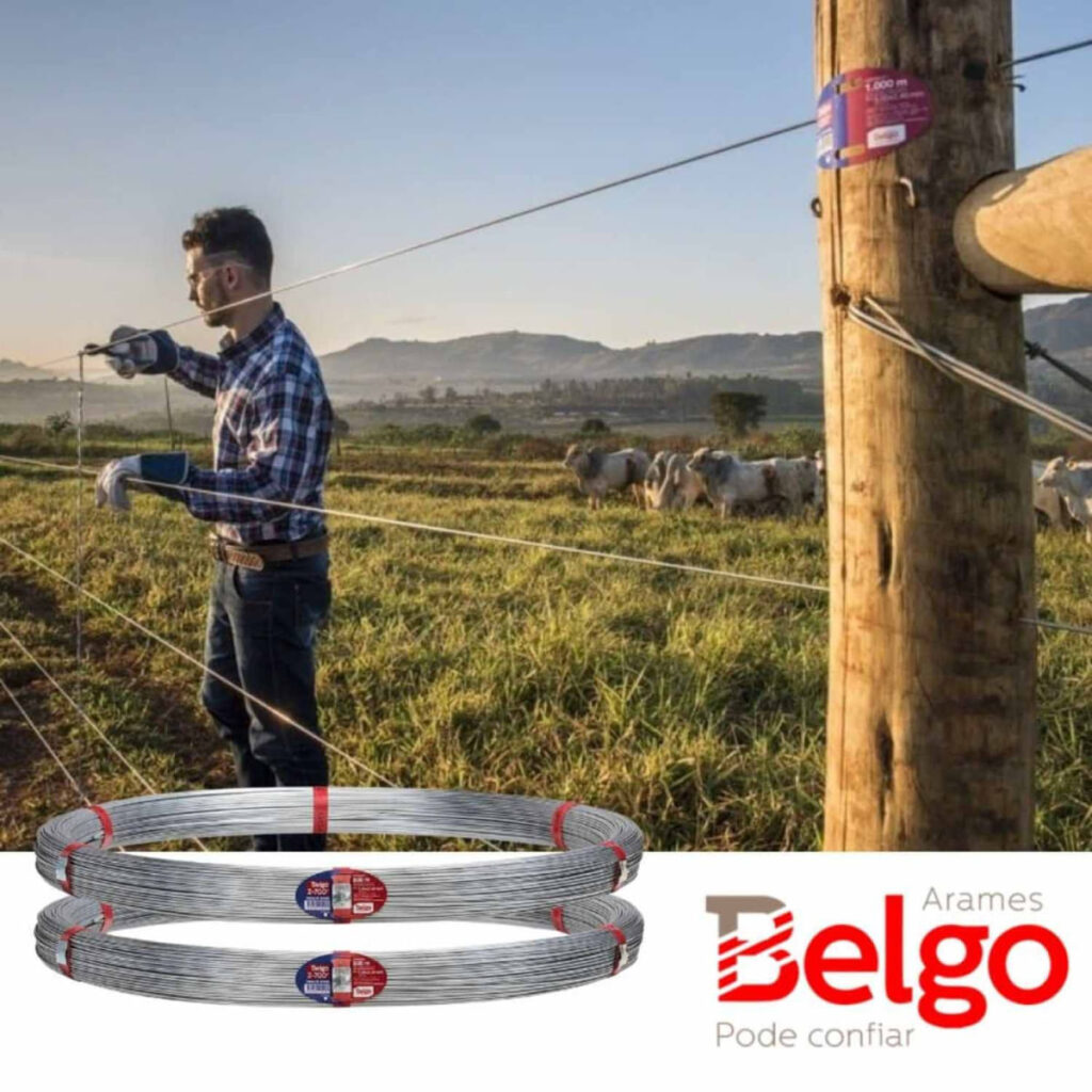 Arame Liso Ovalado Galvanizado Z 700 1000 Metros Belgo - Belgo Cercas